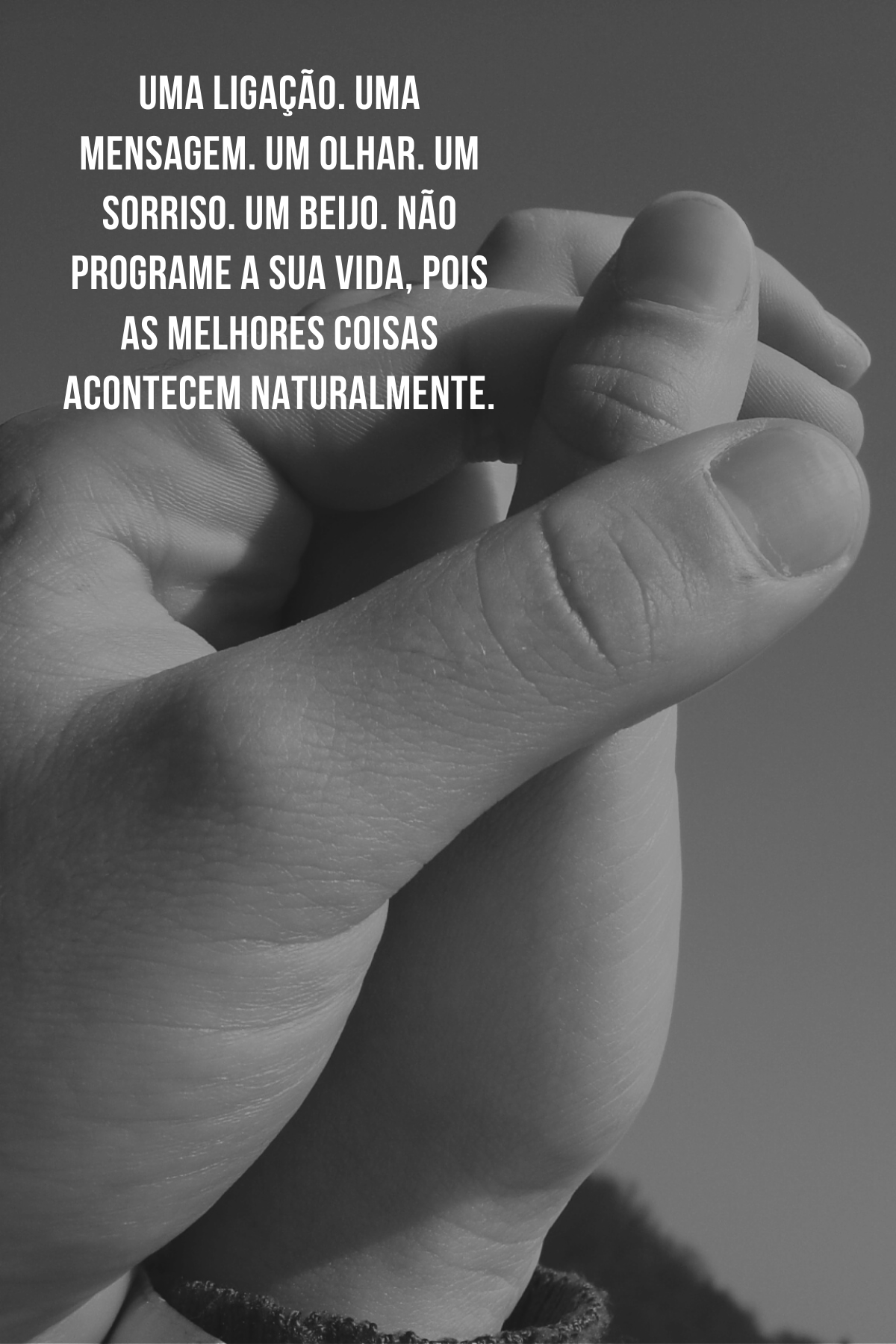 110 Imagens De Frases Para Usar No Status Do Whatsapp Positivo Do Seu