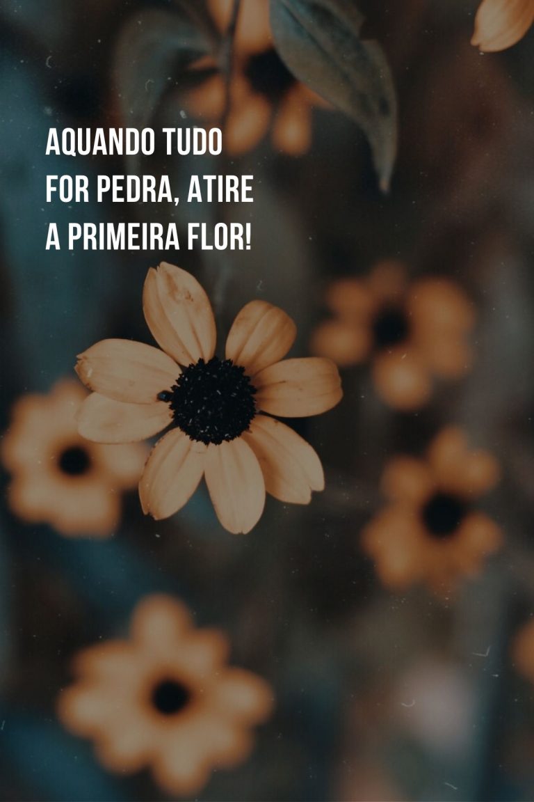 110 Imagens De Frases Para Usar No Status Do Whatsapp Positivo Do Seu