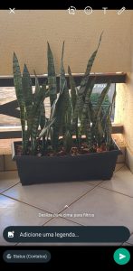 WhatsApp Status: 6 dicas para fazer posts melhores no app - Positivo do ...